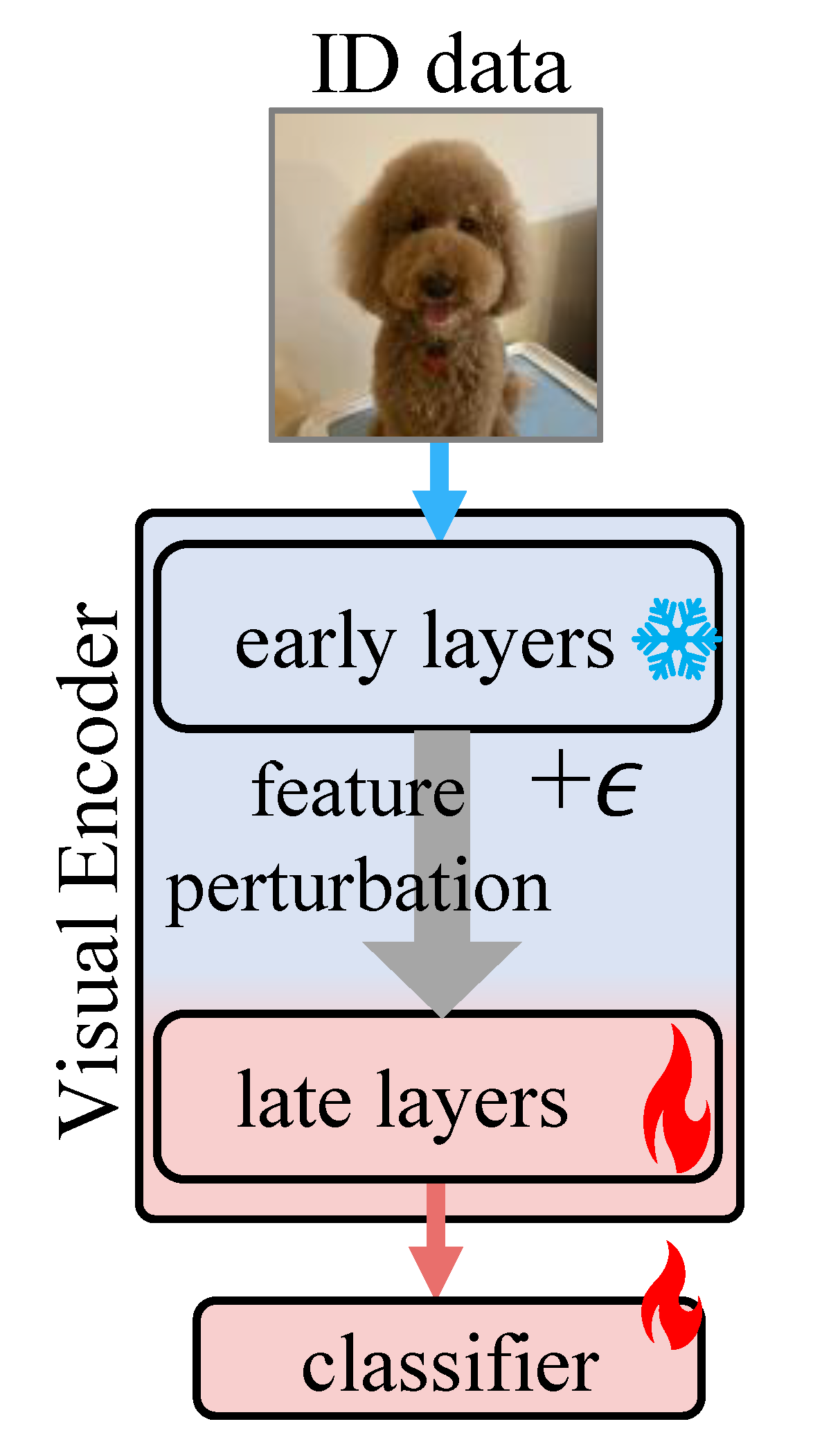 Enabling Validation for Robust Few-Shot Recognition