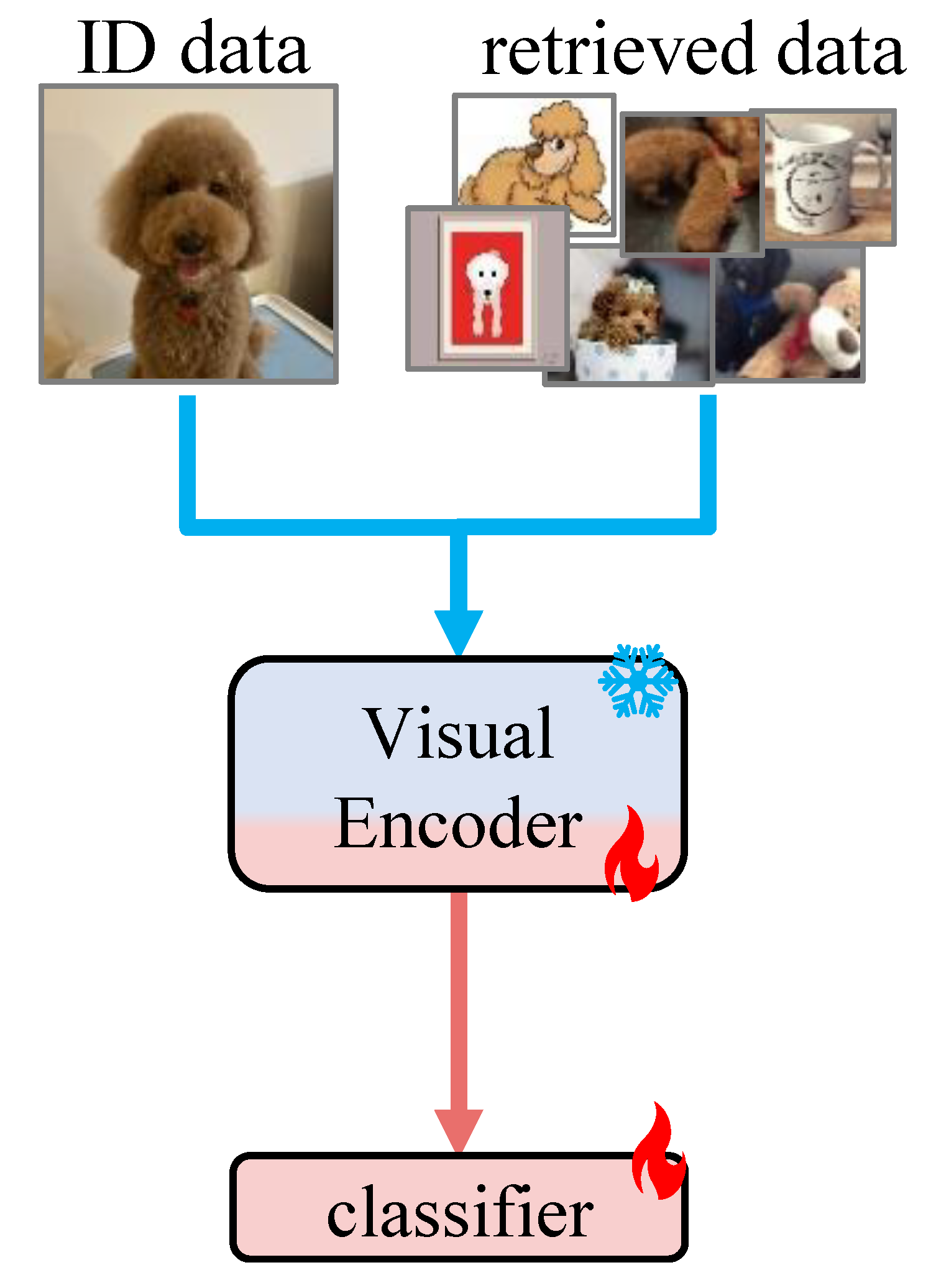 Enabling Validation for Robust Few-Shot Recognition